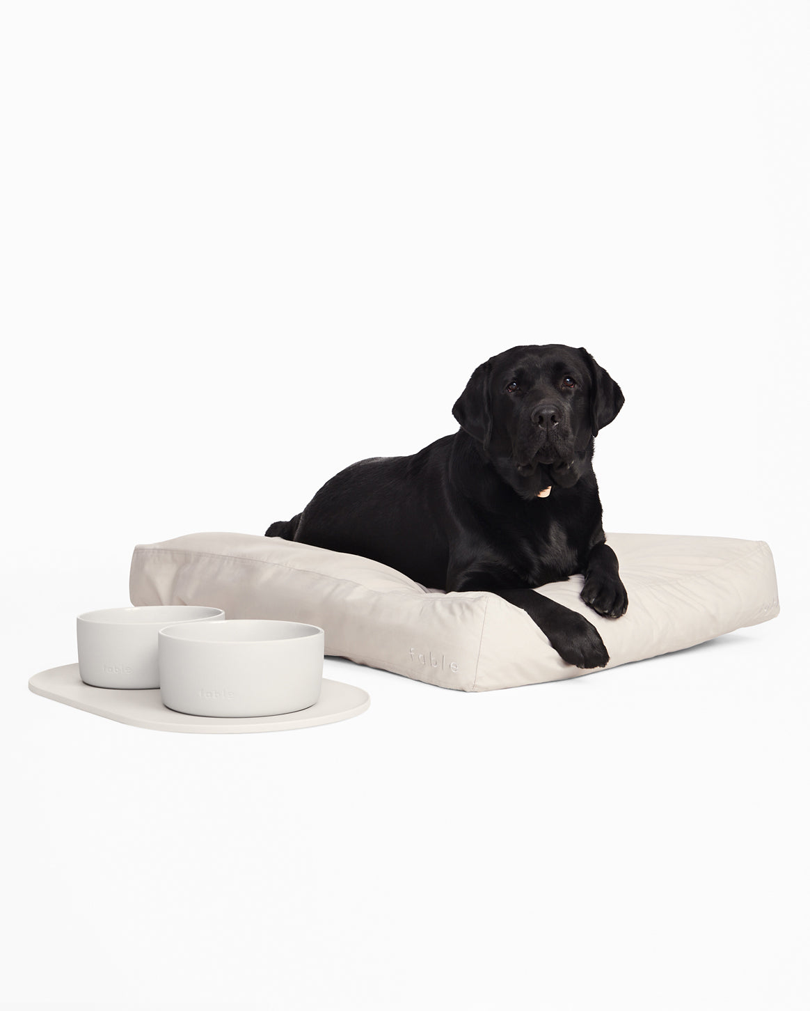 Fable | Global Pet- Enter to win