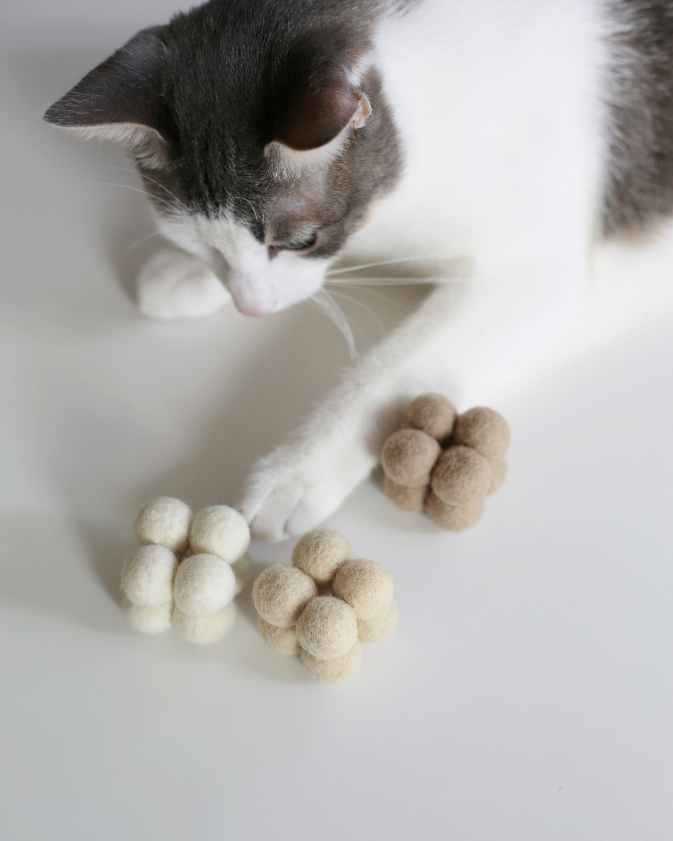 Fable | Catenary Pearl Toys