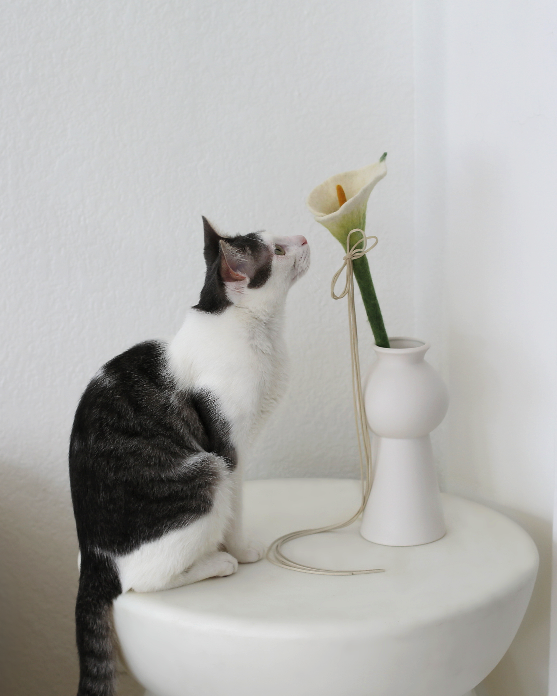 Fable | Catenary Flora Wand